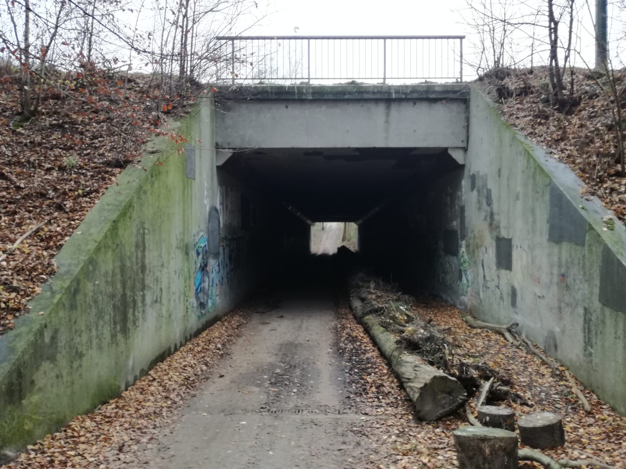 Tunnels and culverts – Zoniënwoud