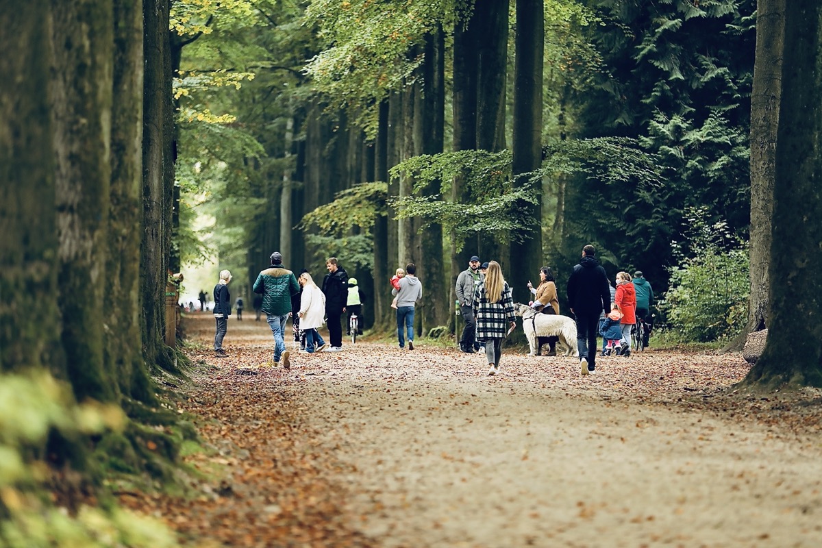 Walking – Sonianforest